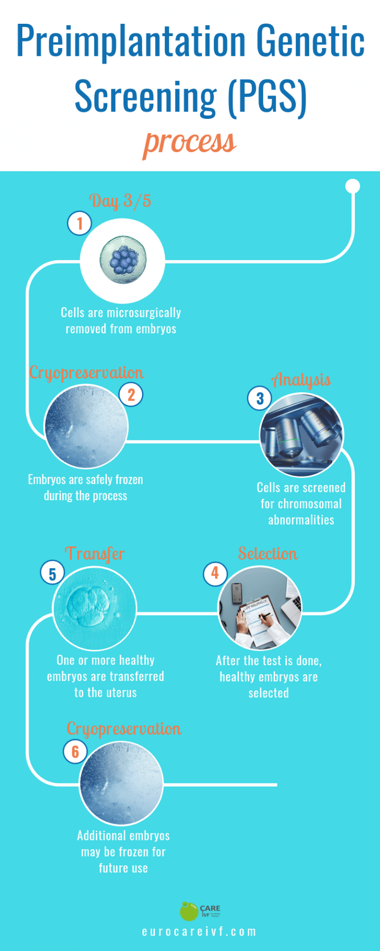 How to Improve IVF Success with PGS and PGD | euroCARE IVF Center