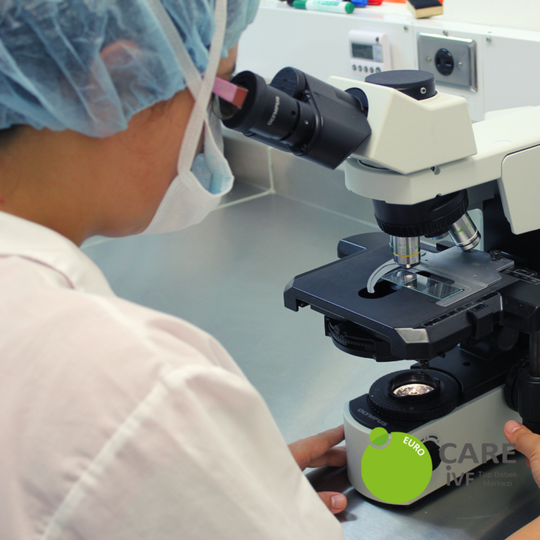 ICSI in Cyprus: What to Expect | EuroCARE IVF Cyprus