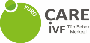 IVF egg to embryo ratio: What to expect? | EuroCARE IVF Cyprus